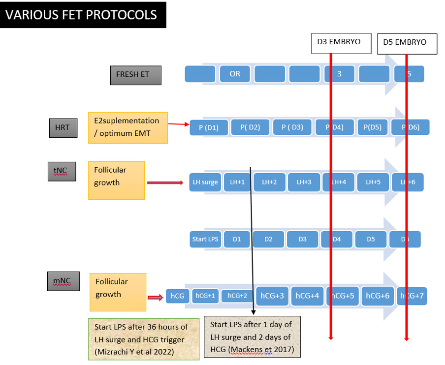Endometrial preparation for frozen embryo transfer: Comparing hormone ...